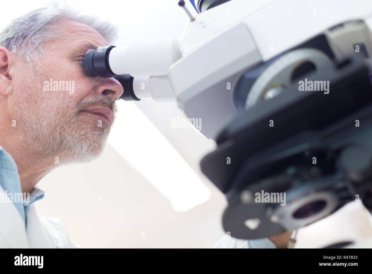 Senior scientist microscoping in lab Stock Photo - Alamy