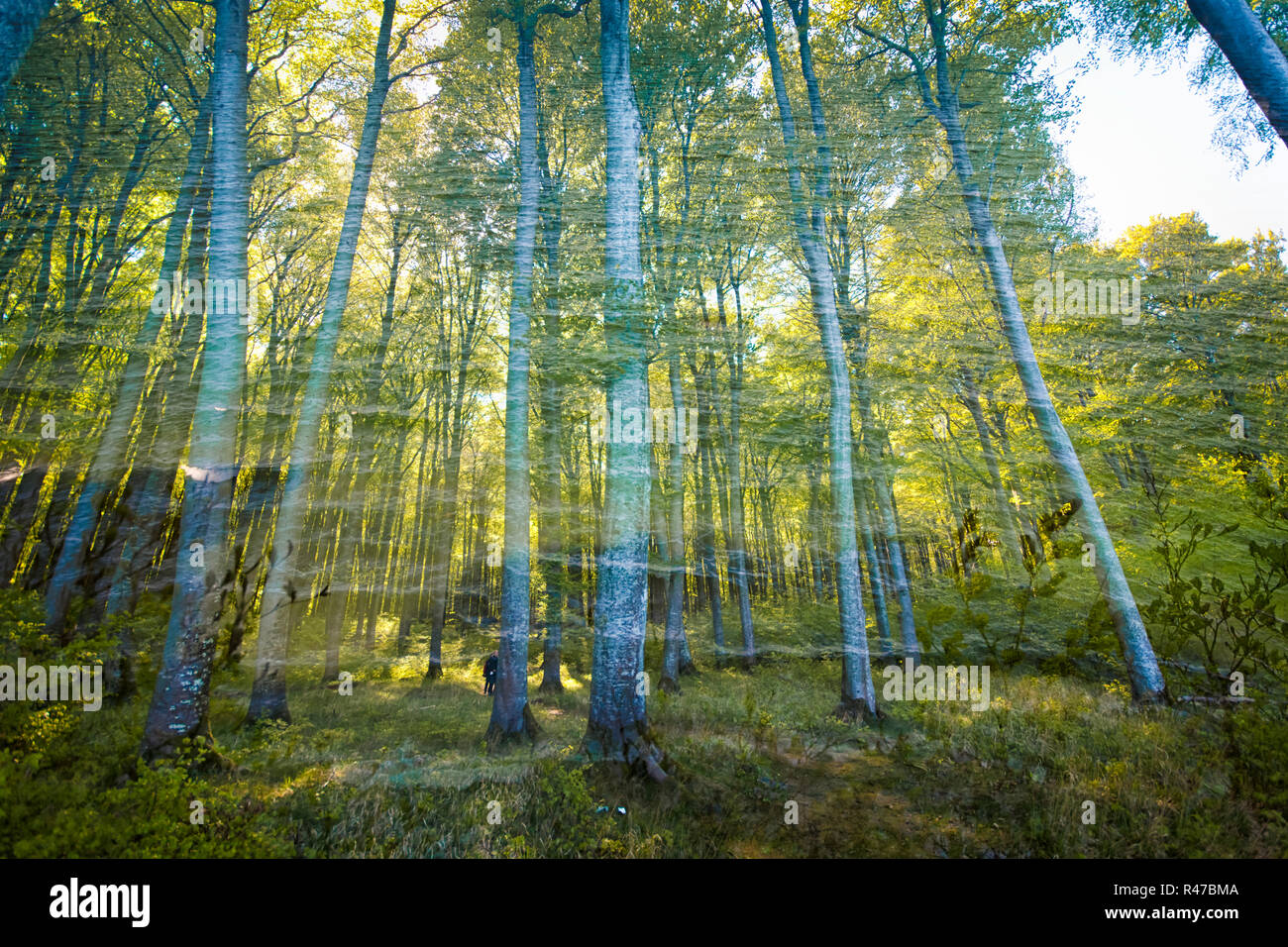 Landscape double exposure Stock Photo - Alamy
