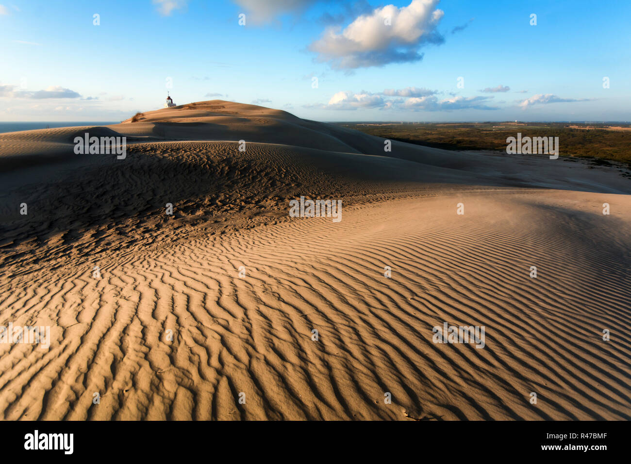 Day in the dunes Stock Photo - Alamy