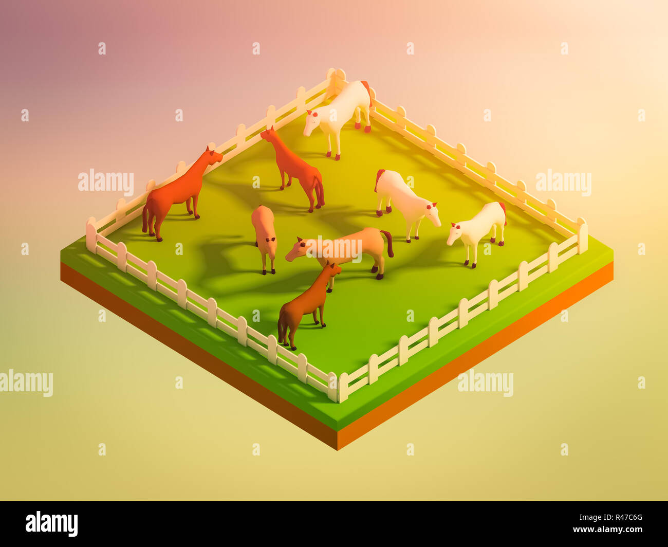 Tropical ocean animals map hi-res stock photography and images - Alamy