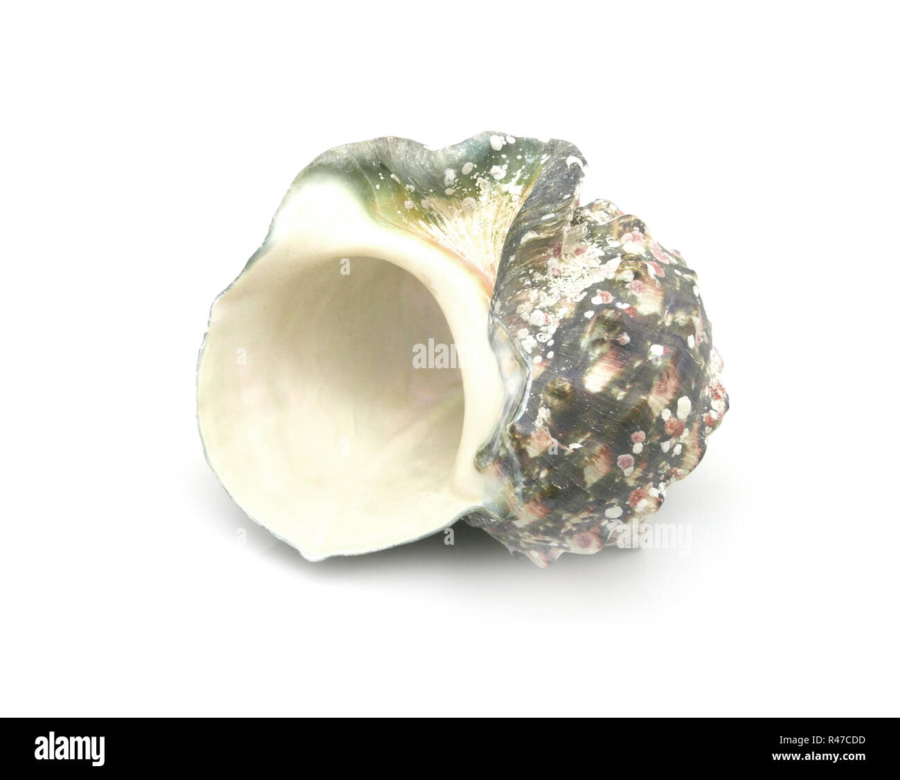 Okinawa beach Cut Out Stock Images & Pictures - Alamy