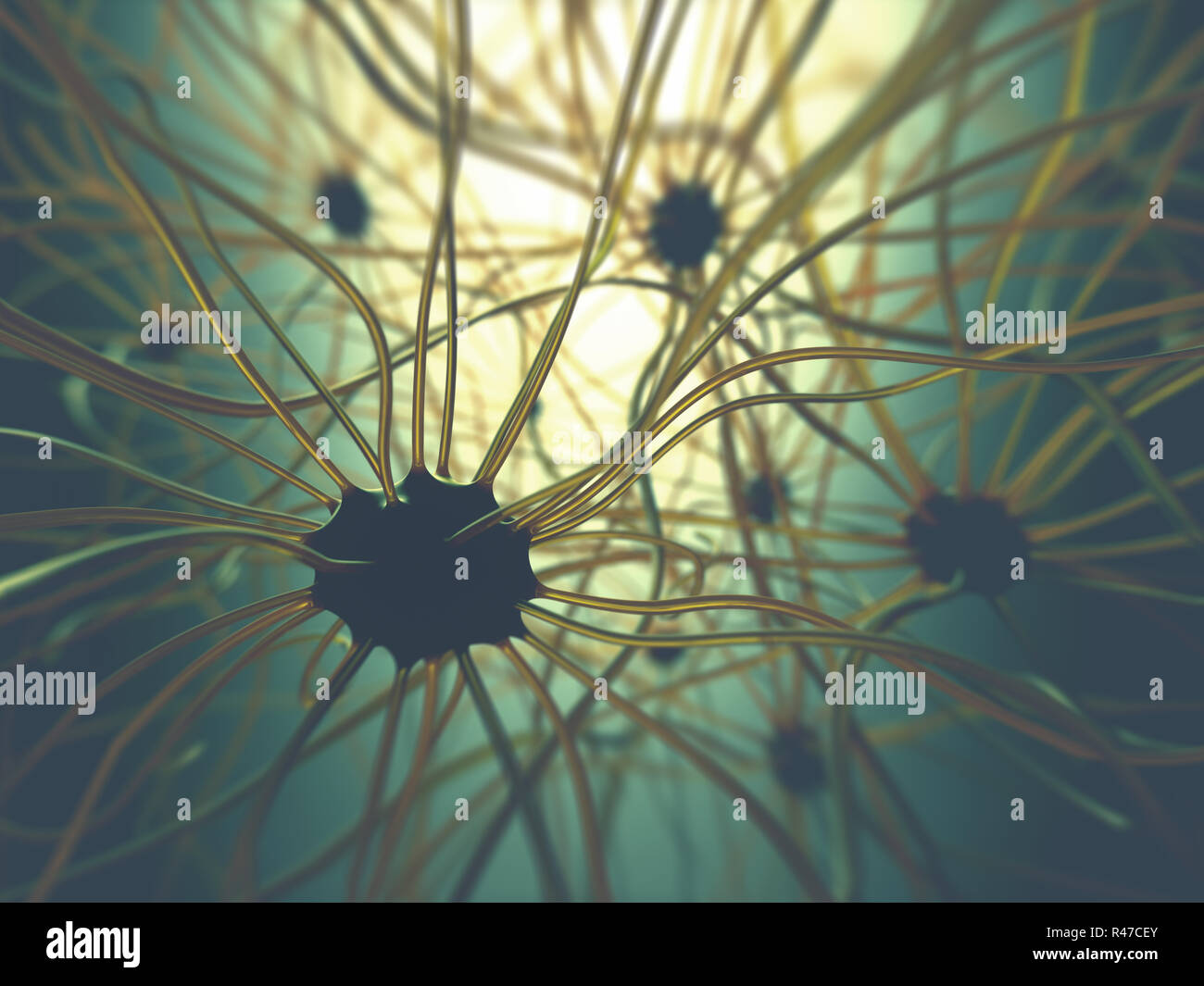 Neuro biological hi-res stock photography and images - Alamy