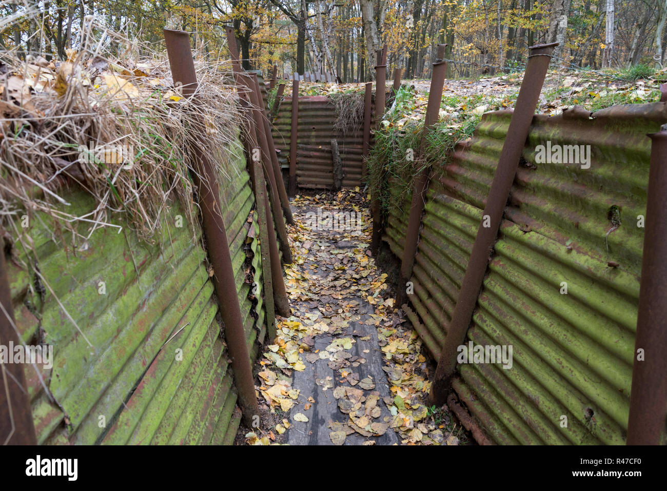Original British WW1 trench at Sanctuary Wood, Ypres Salient Stock ...