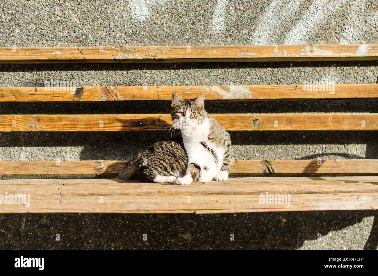 Scared potato hi-res stock photography and images - Alamy