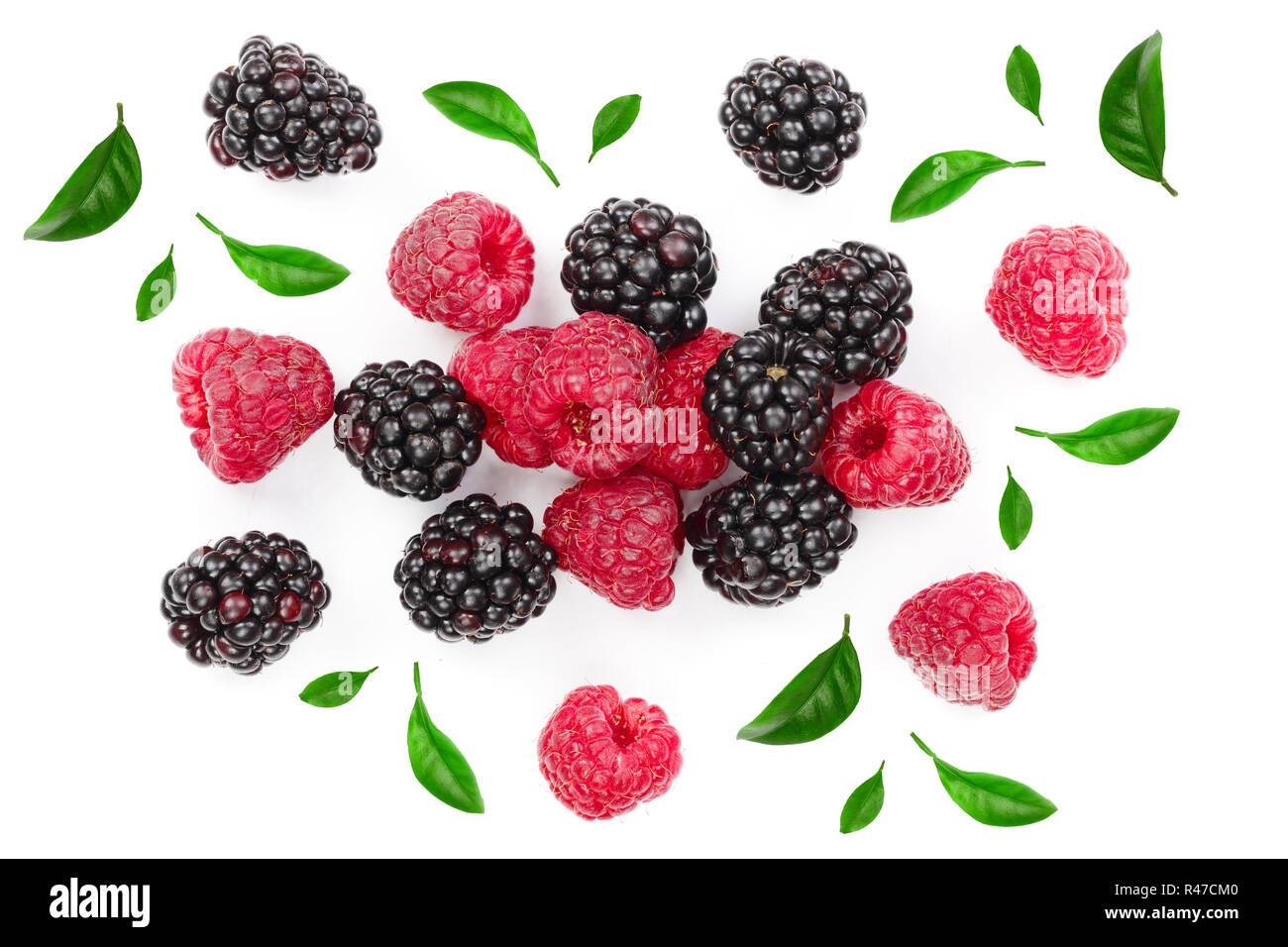 blackberry and raspberry isolated on white background. Top view. Flat ...