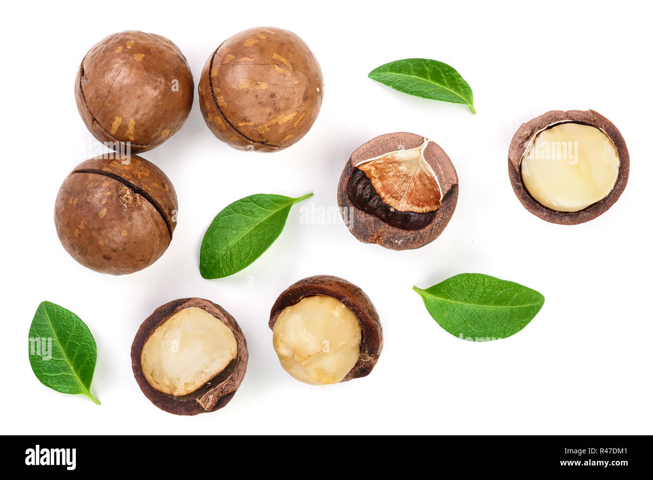 Shelled and unshelled macadamia nuts with leaves isolated on white ...
