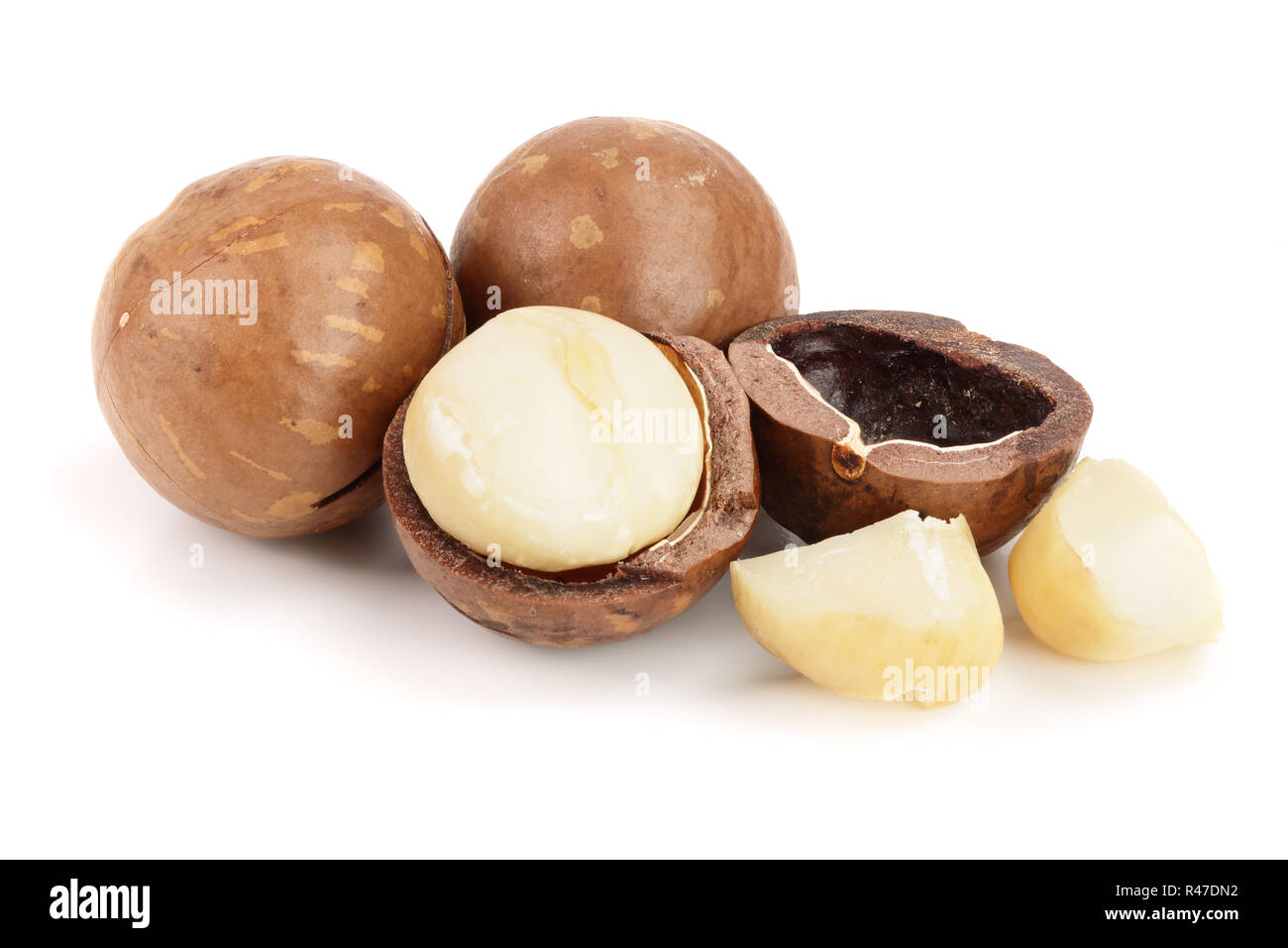 Shelled and unshelled macadamia nuts isolated on white background Stock ...