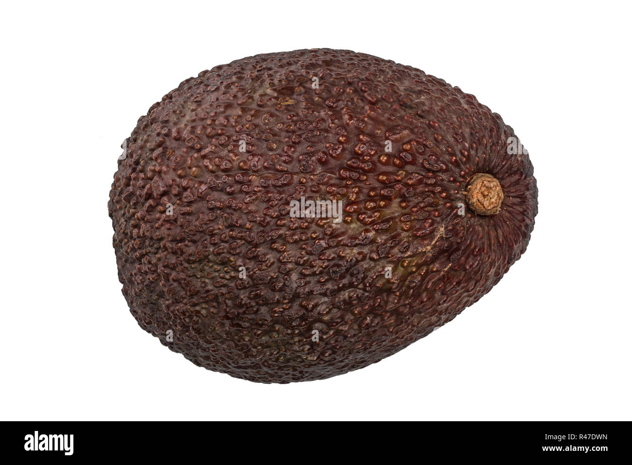 one whole avocado isolated on white background Stock Photo - Alamy