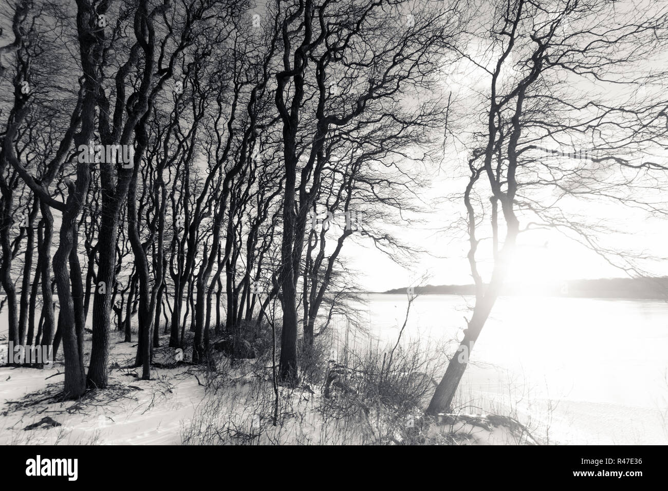 November sun hi-res stock photography and images - Alamy