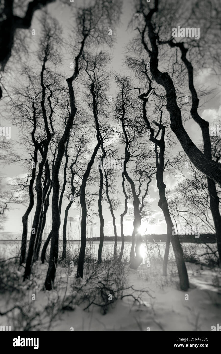 November sun hi-res stock photography and images - Alamy