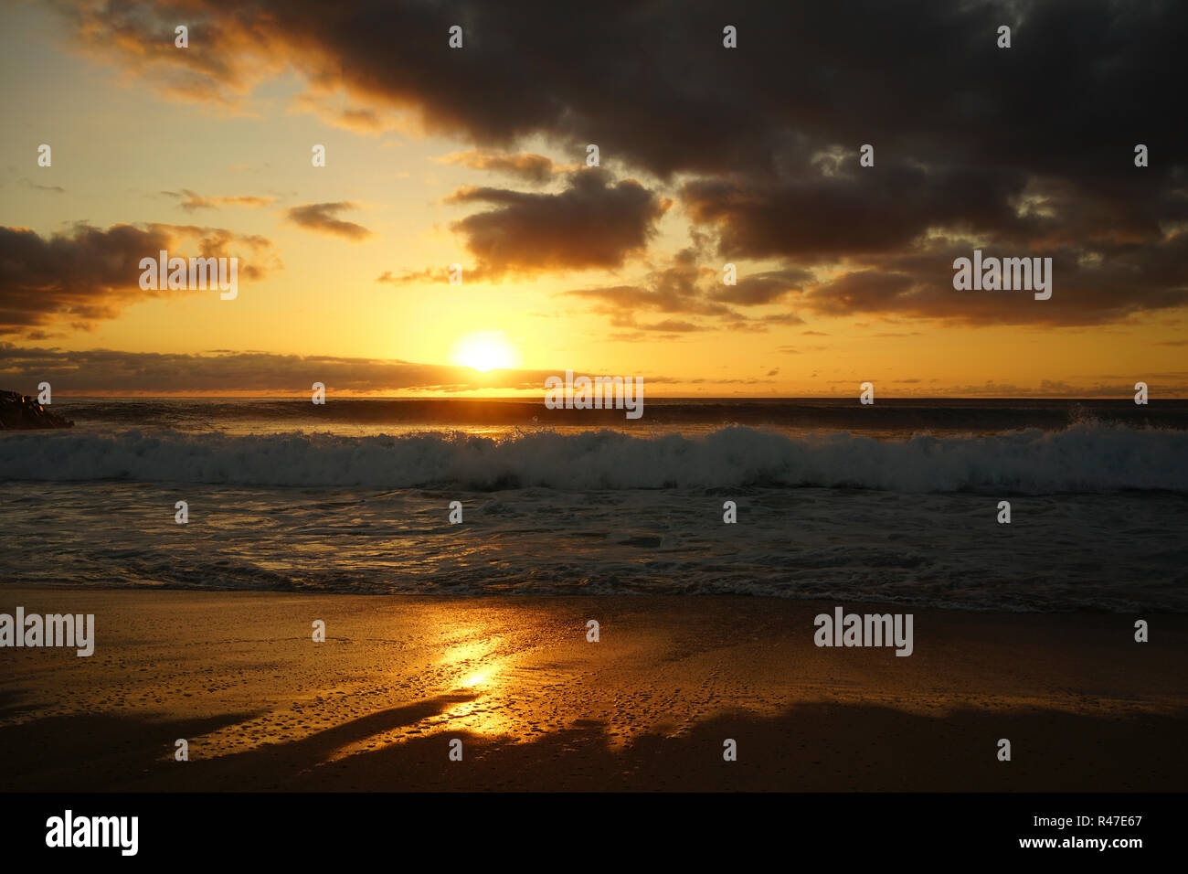 2022 verde hi-res stock photography and images - Alamy