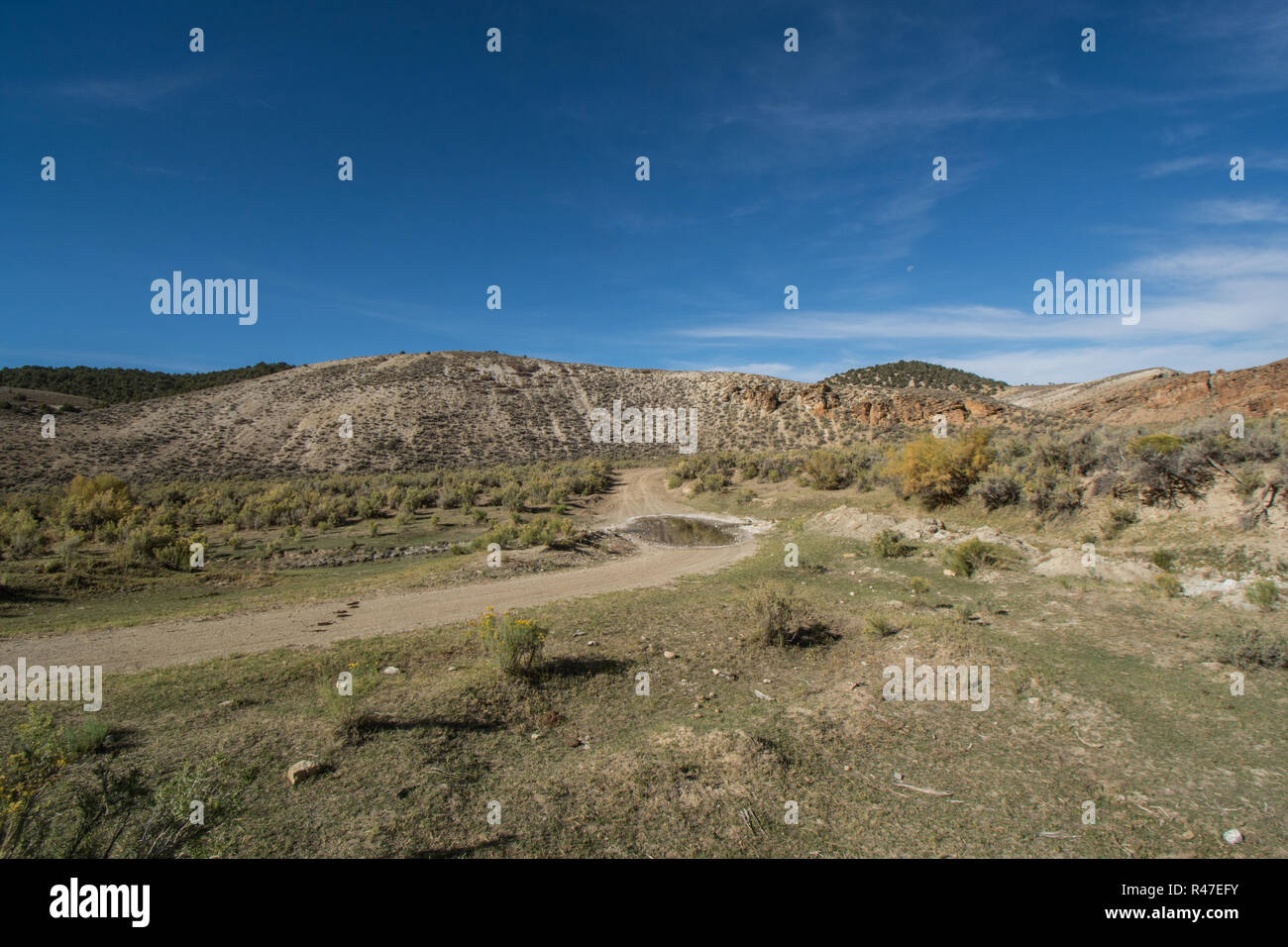 Inter-mountain Basins Big Sagebrush Shrubland in Rio Blanco County ...