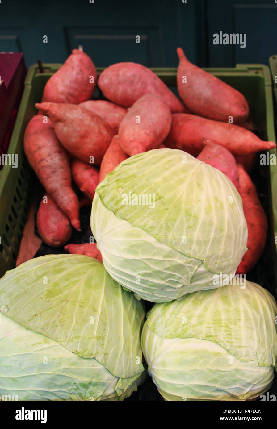 Cabbage market Stock Photo - Alamy