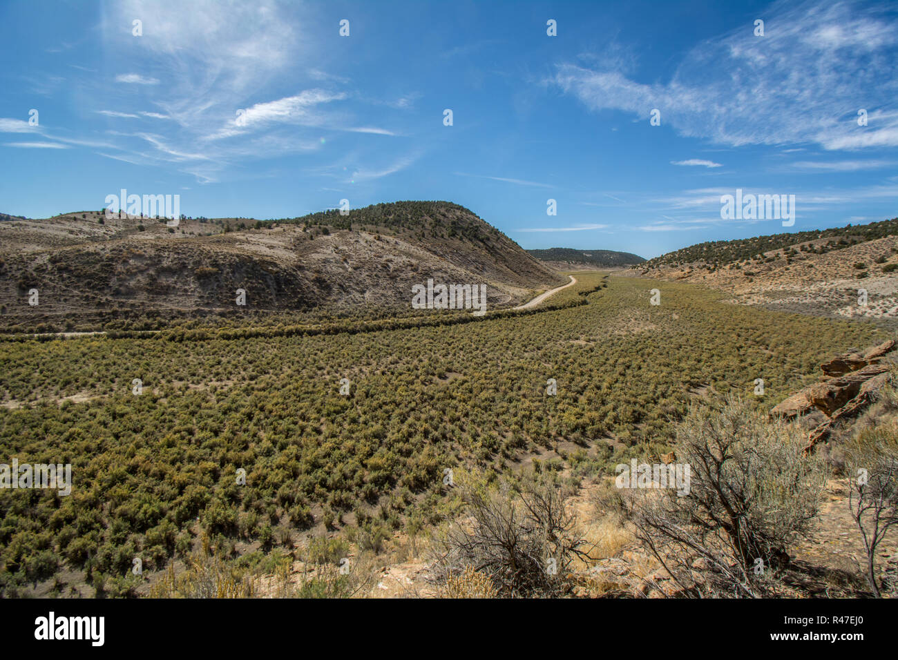 Inter mountain basin hi-res stock photography and images - Alamy
