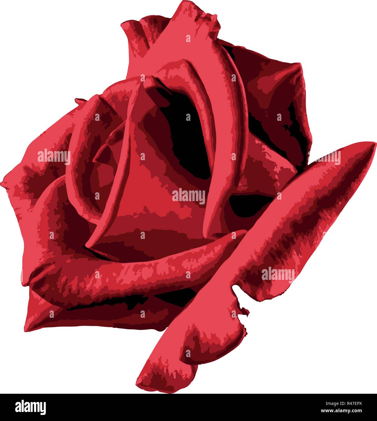 Creative Drawings Of Roses