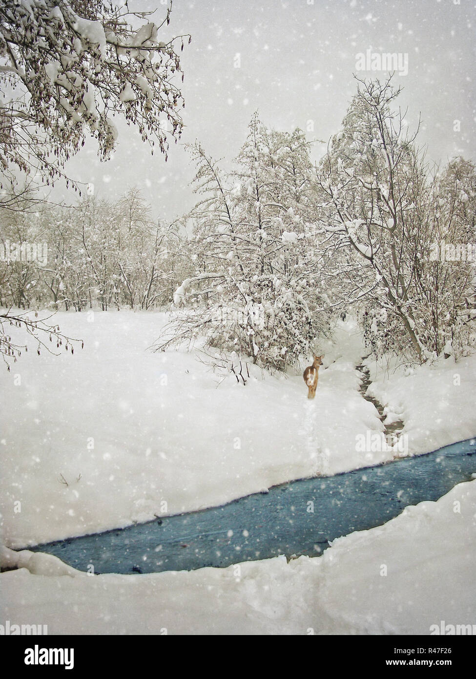 Spoiled photograph hi-res stock photography and images - Alamy