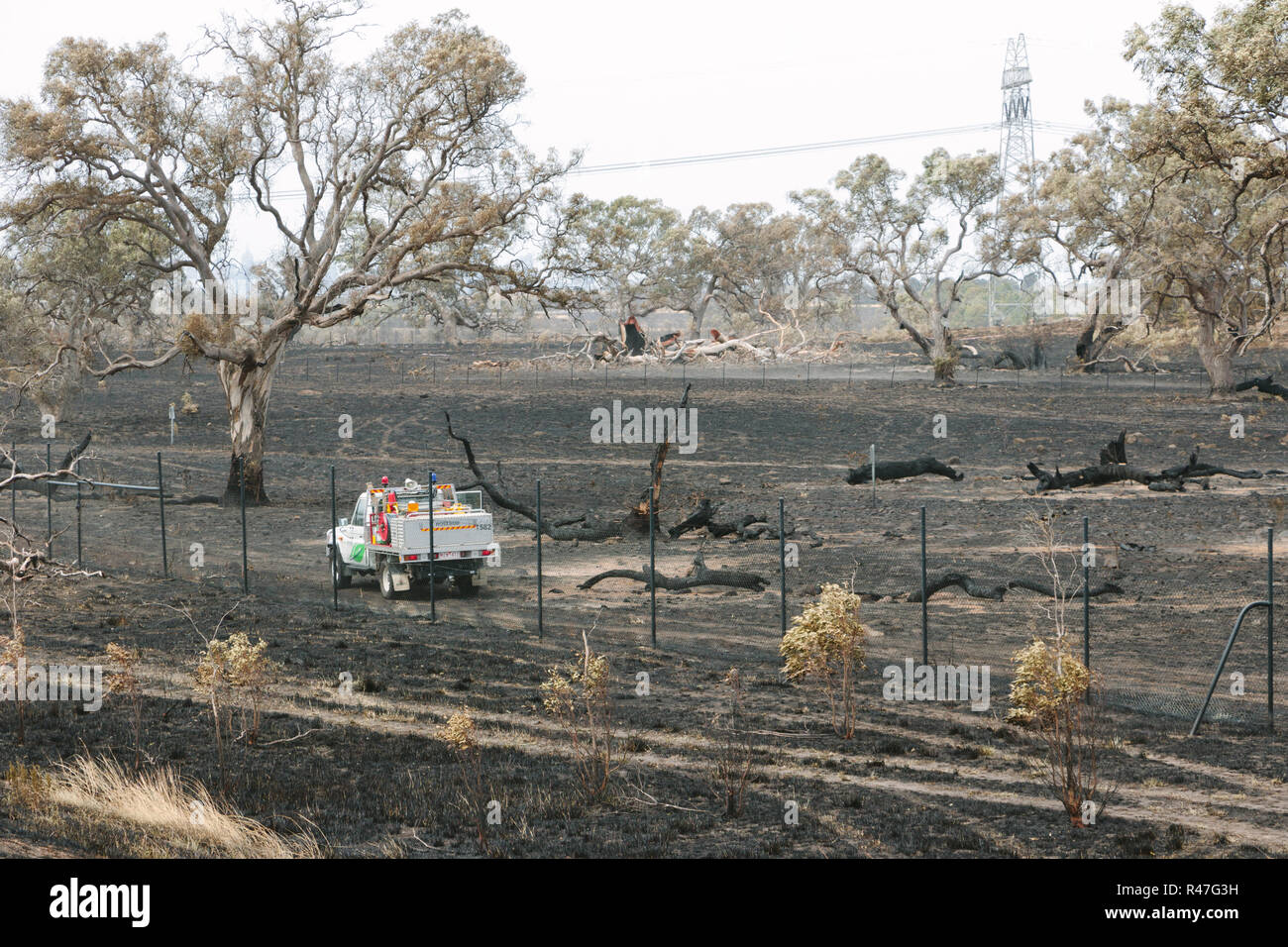 Aftermath of the Epping Bushfires Stock Photo - Alamy