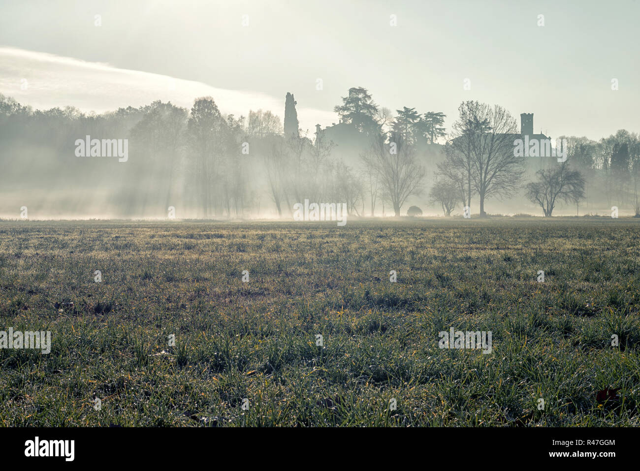 Low fog hi-res stock photography and images - Alamy