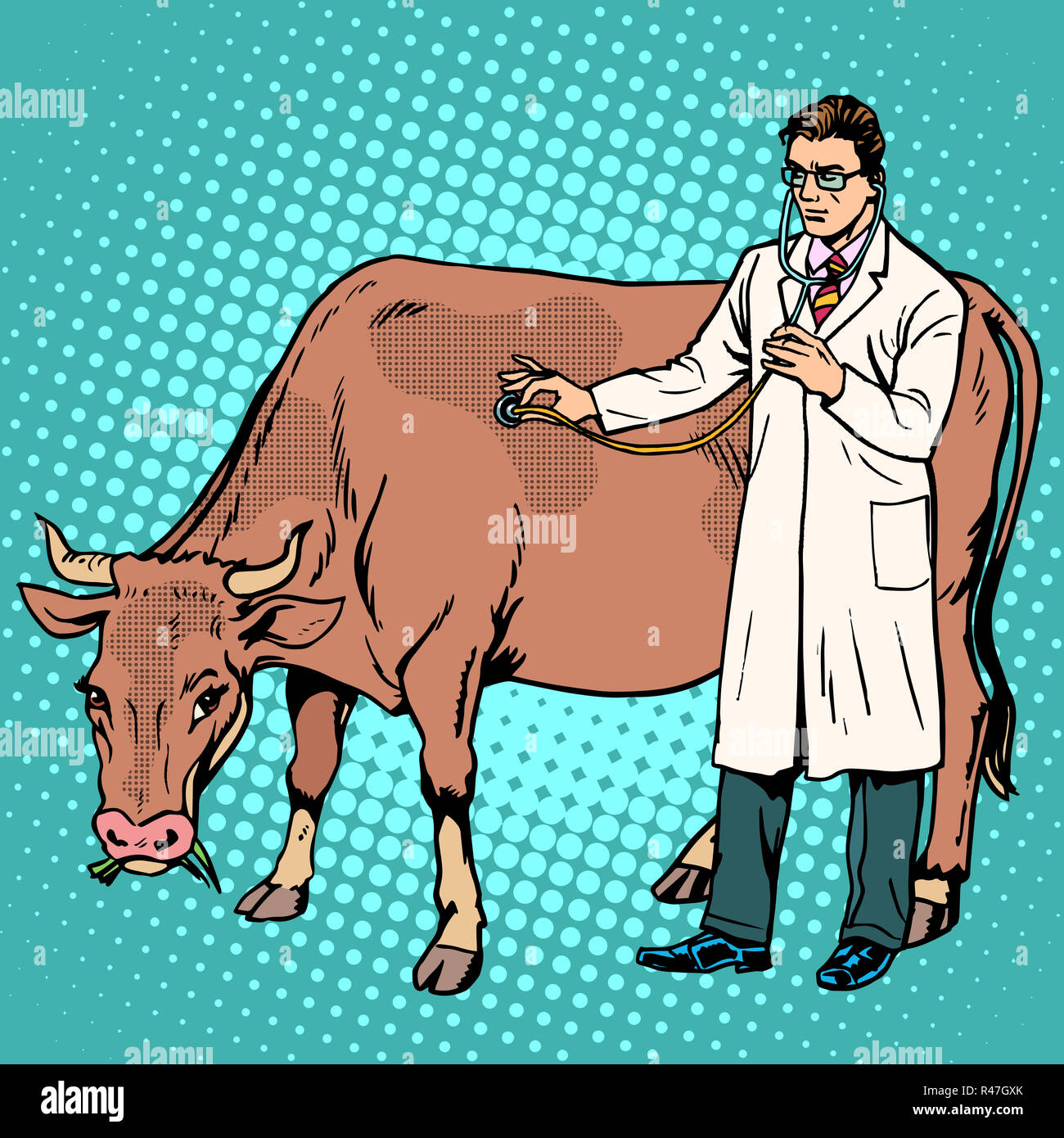 Veterinarian treats a cow farm animal medicine Stock Photo - Alamy