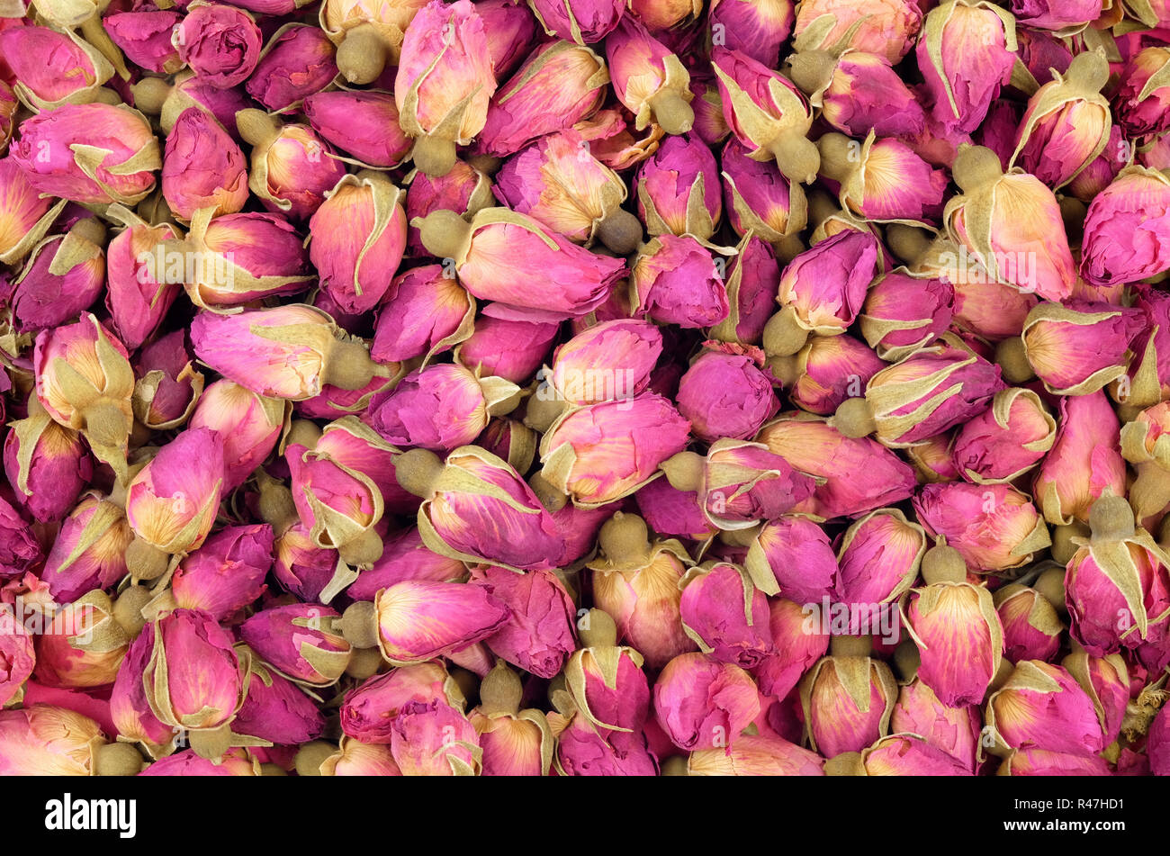 Background of a large quantity of dried buds pink tea rose Stock Photo ...