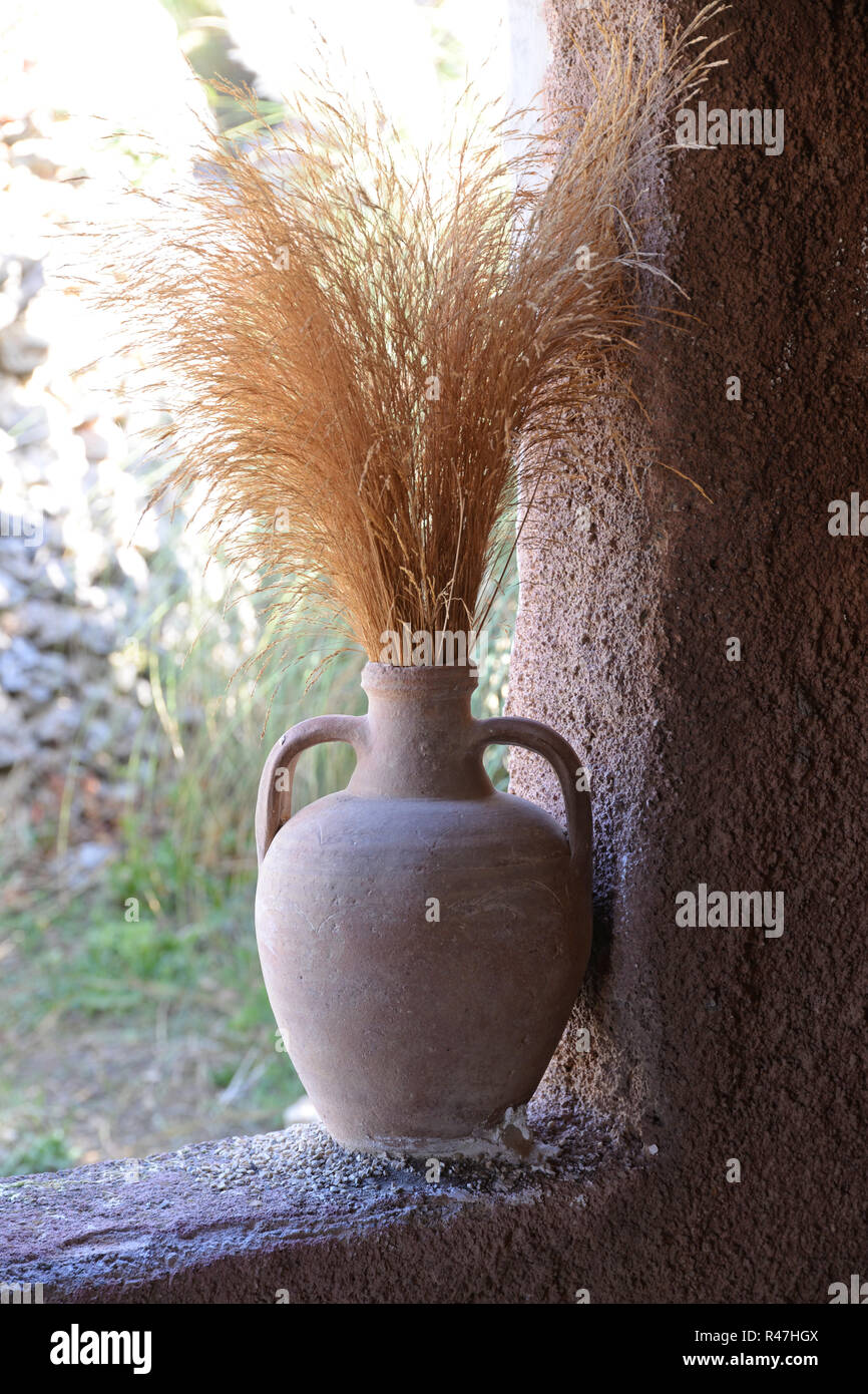 vase with grasses Stock Photo - Alamy