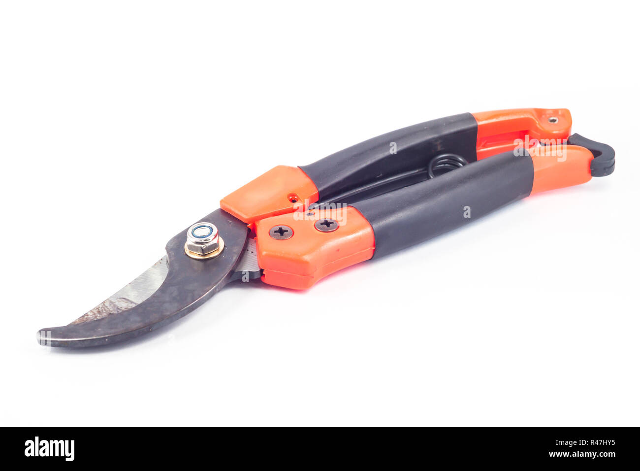 Pruner isolated on white background Stock Photo - Alamy
