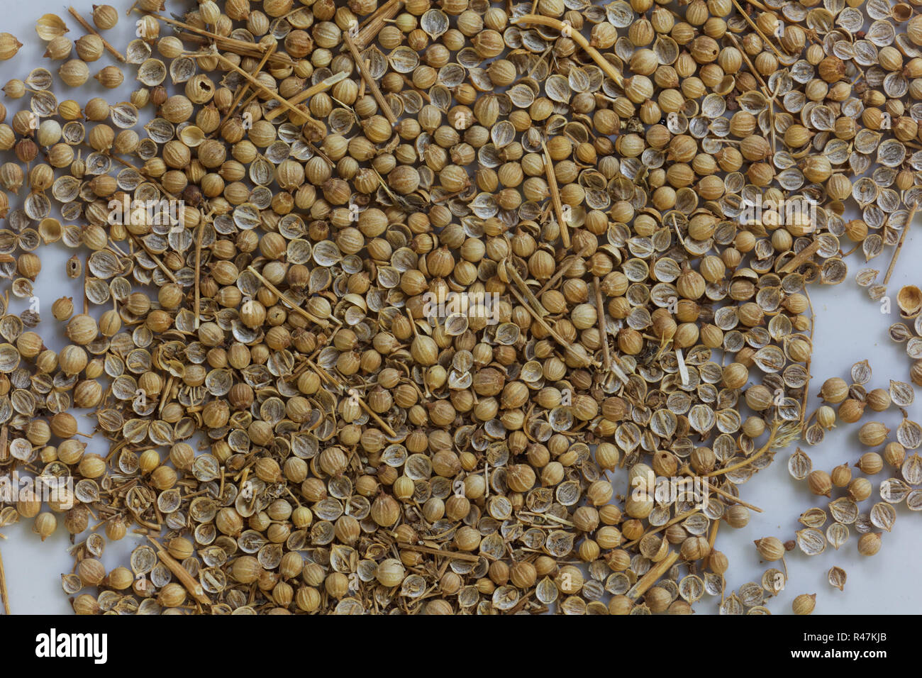 Spice details hi-res stock photography and images - Alamy