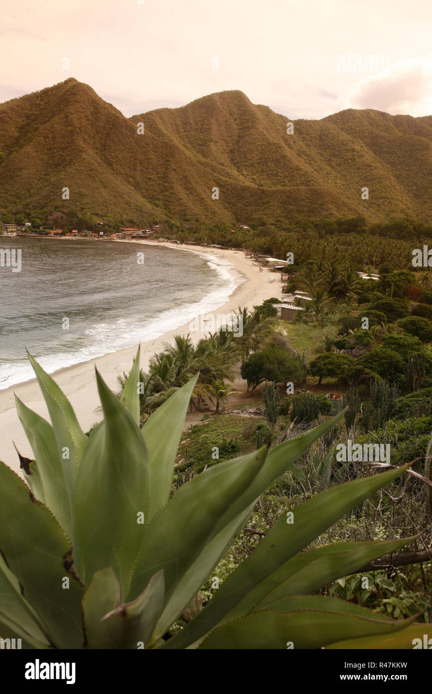 Choroni hi-res stock photography and images - Alamy