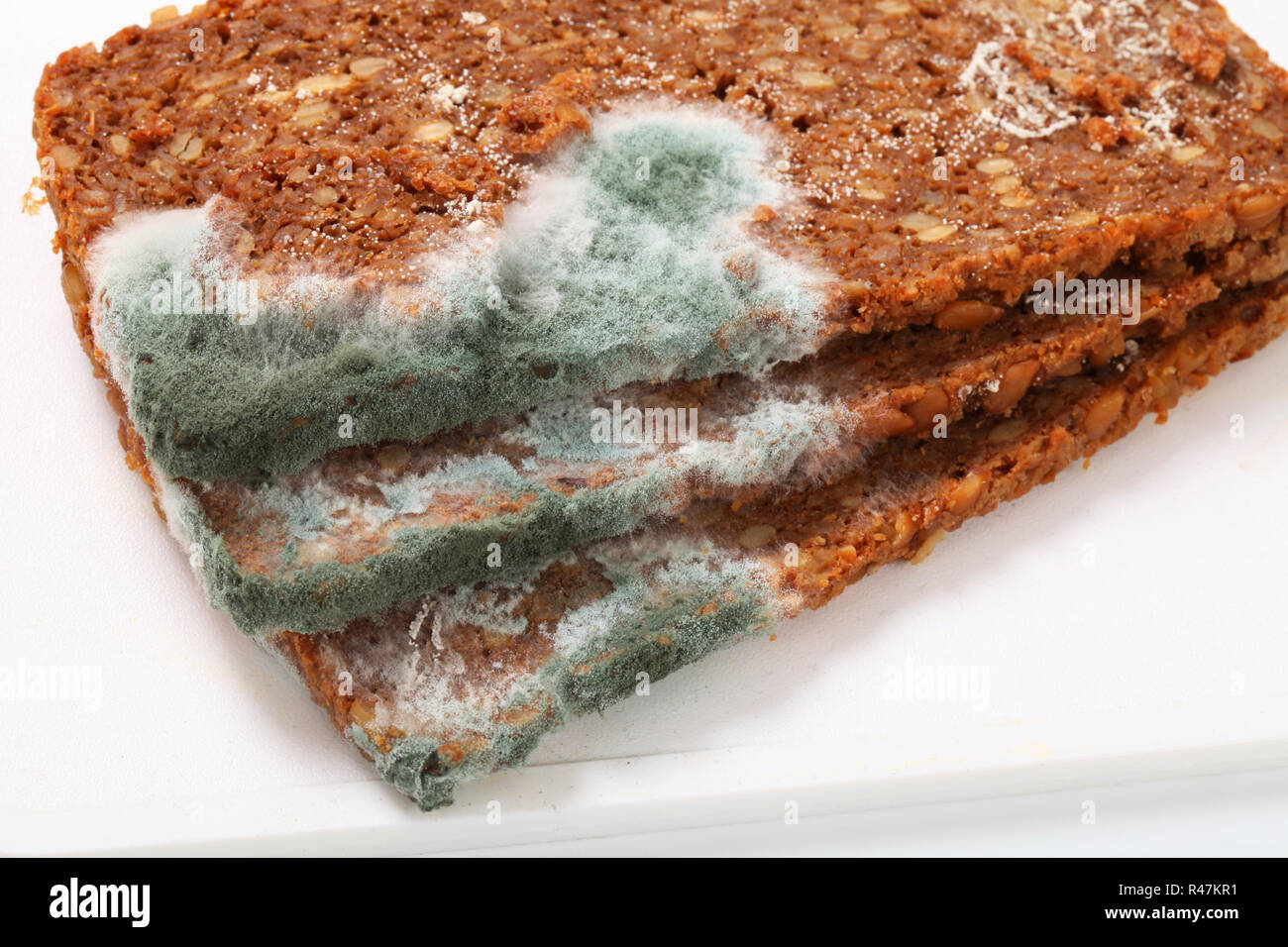 Mould Bread Stock Photos & Mould Bread Stock Images - Alamy