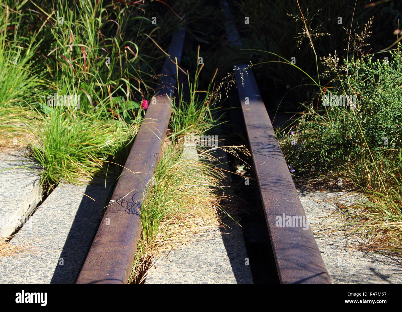 Disappearing Railroad Tracks into the Dark Forest Stock Photo - Alamy
