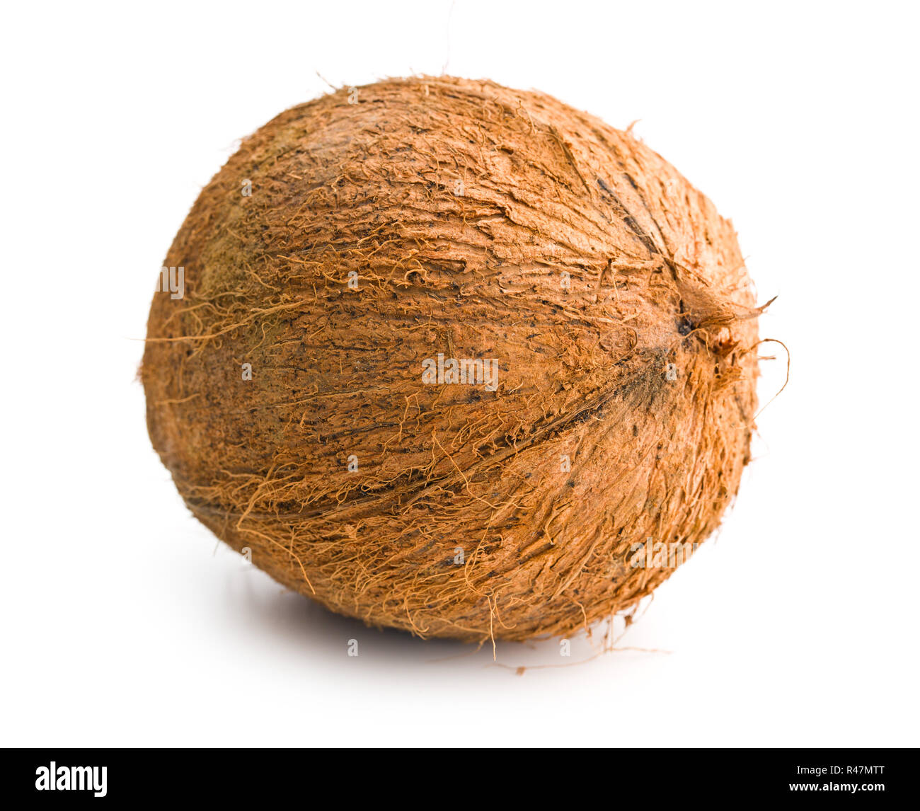 one whole coconut Stock Photo - Alamy