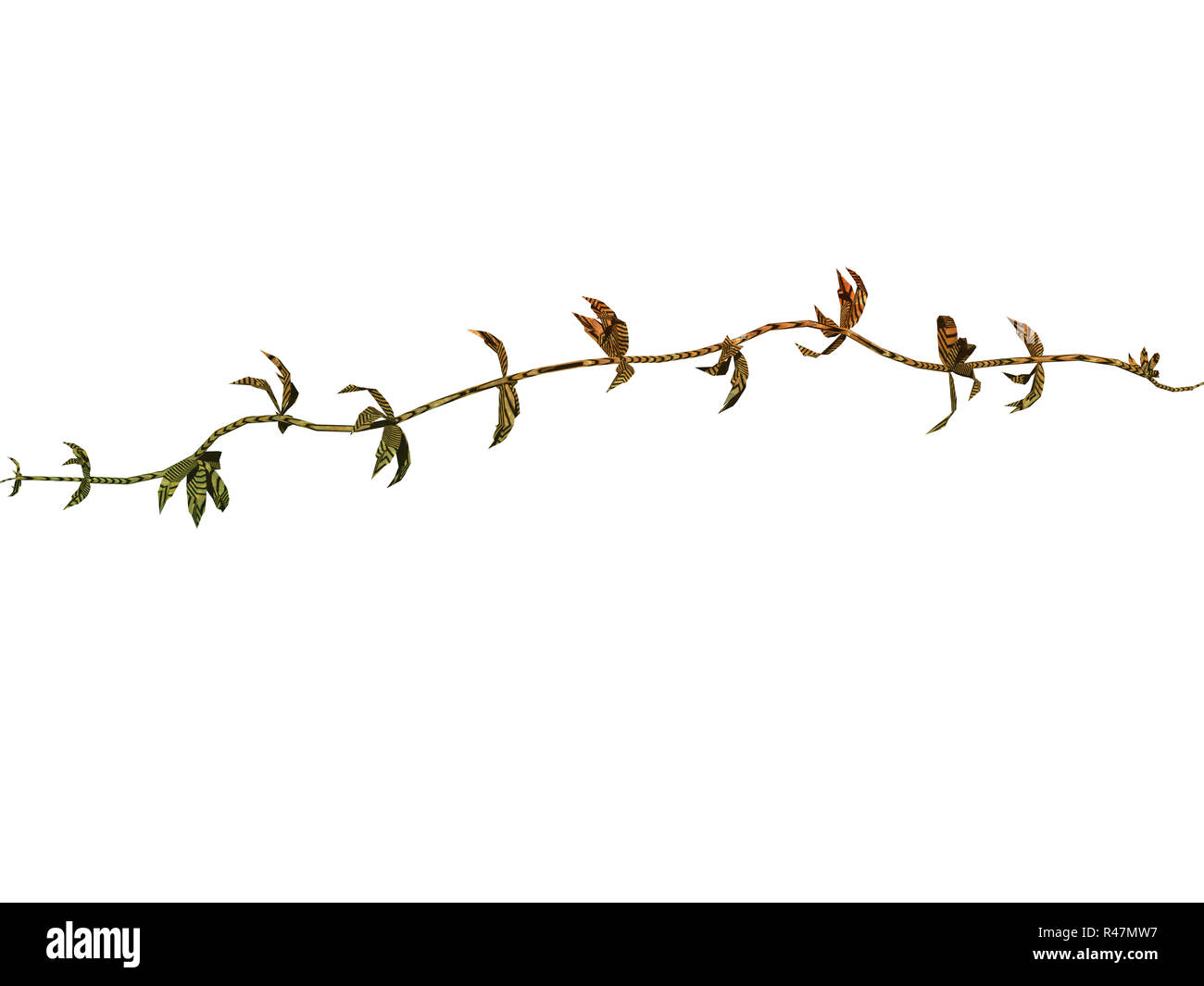 Vines with tendrils hi-res stock photography and images - Alamy