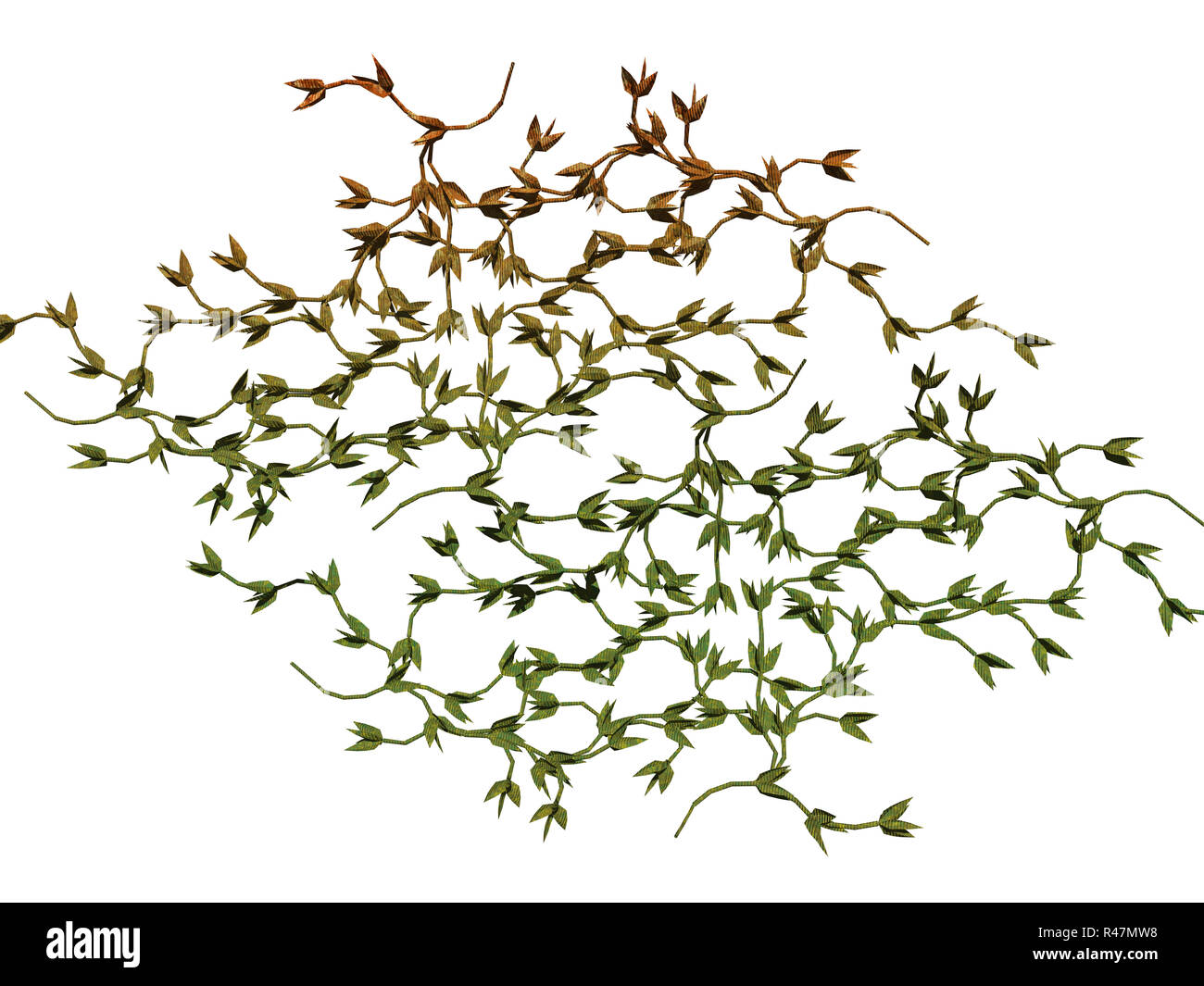 Twiners hi-res stock photography and images - Alamy