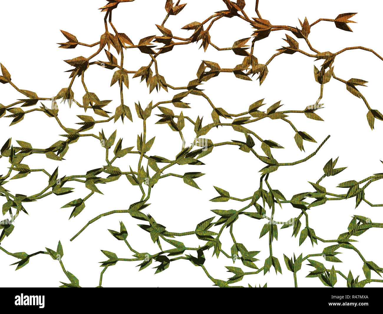 Vines with tendrils hi-res stock photography and images - Alamy