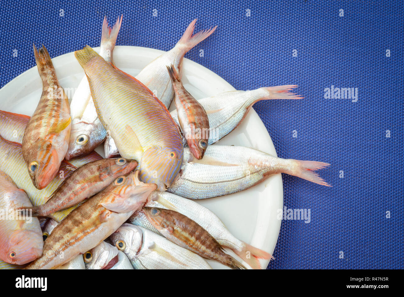 fresh fish seafood Stock Photo - Alamy