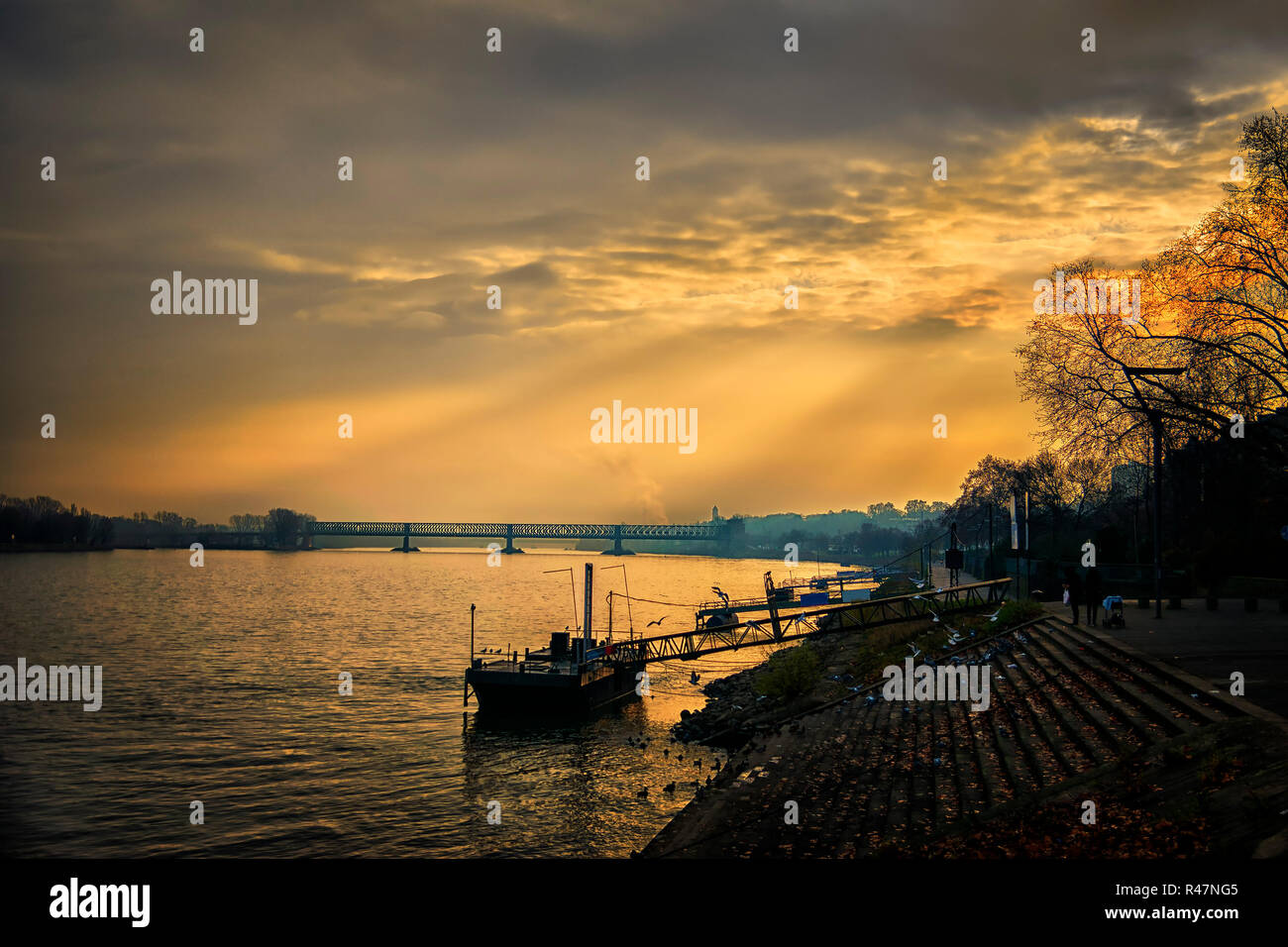 Mainz germany skyline hi-res stock photography and images - Alamy