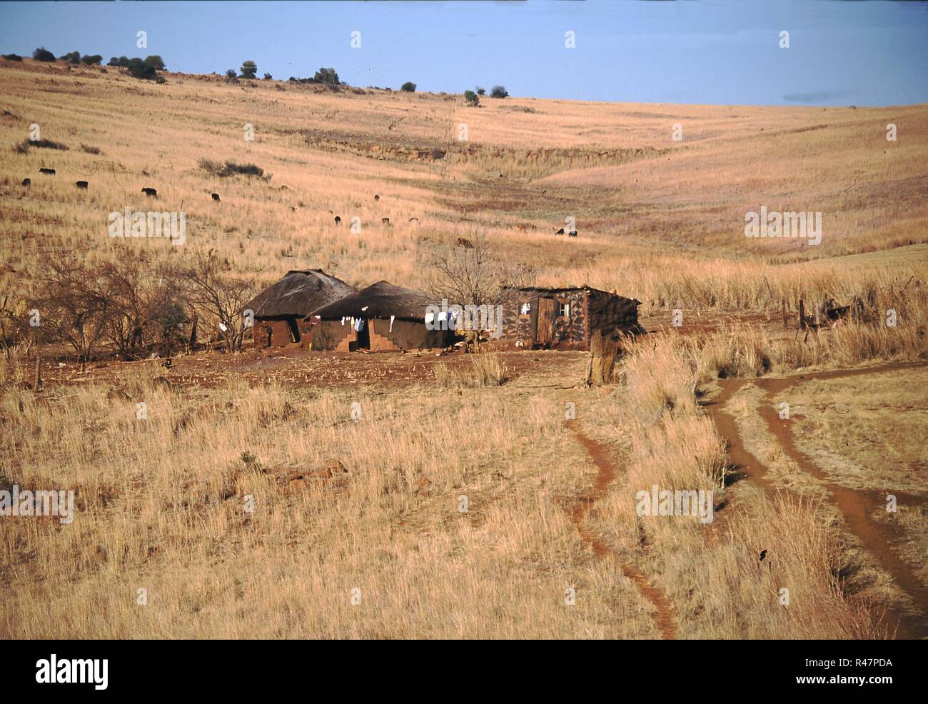 Rural south africa village hi-res stock photography and images - Alamy