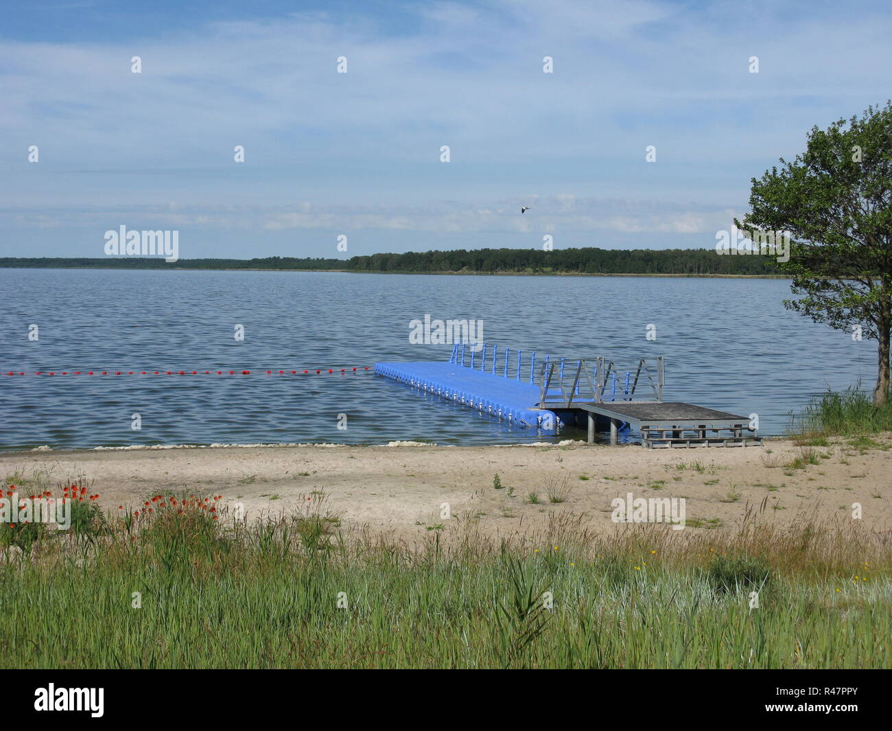 beach at the szczecin lagoon. neuwarp,nowe warpno Stock Photo - Alamy