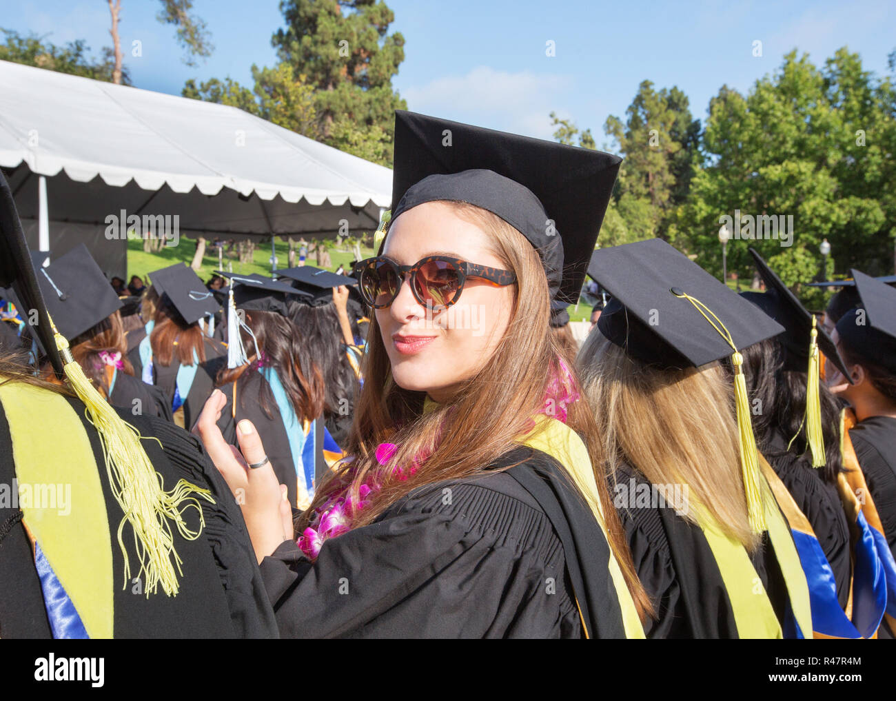 Student Applauding at Ceremony Stock Photo - Alamy
