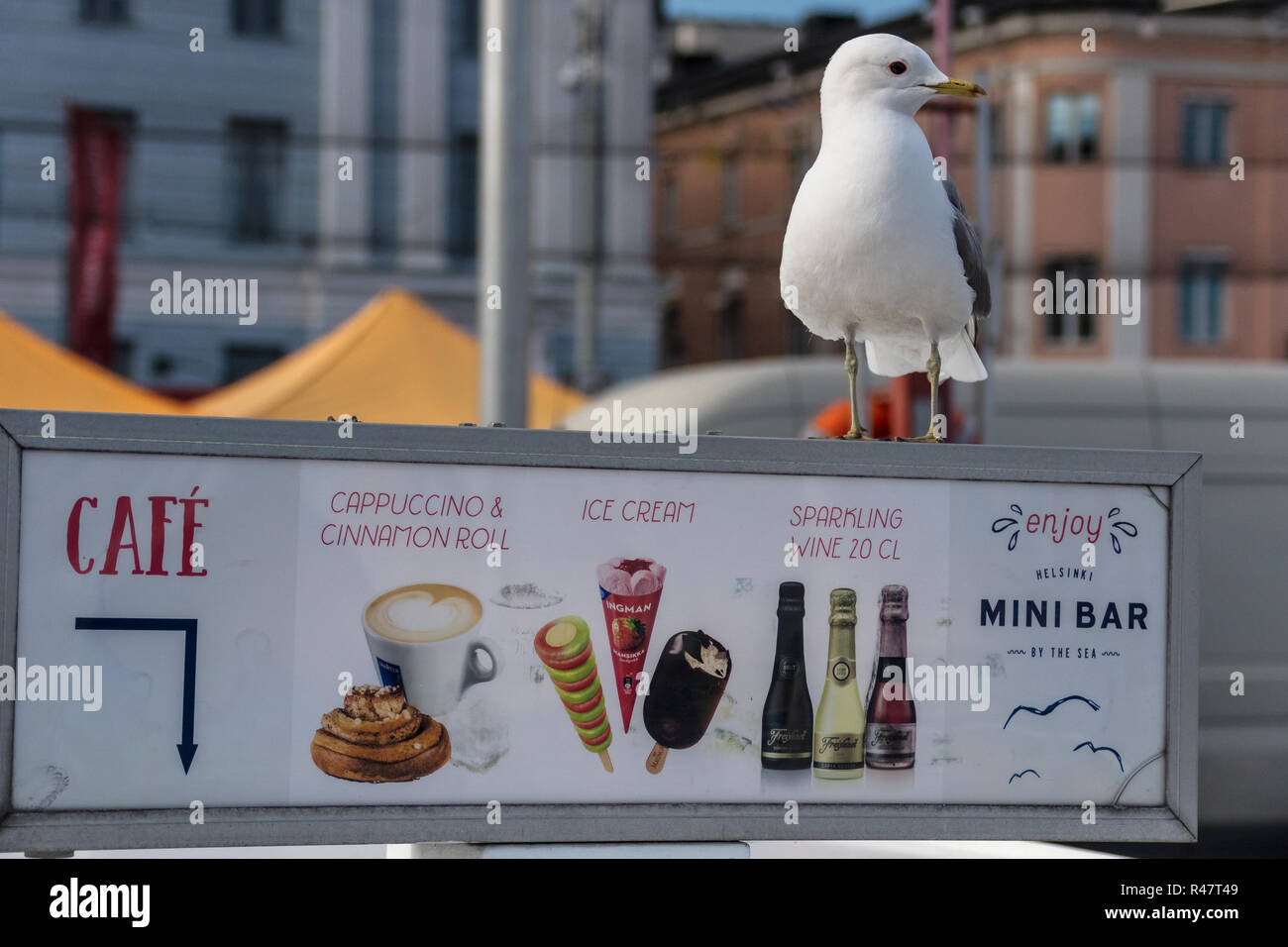 Laridae sternidae hi-res stock photography and images - Alamy