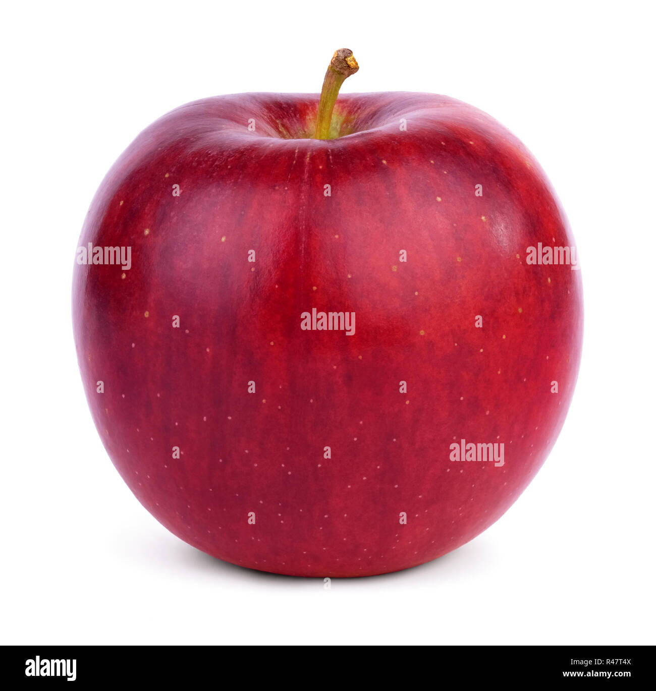 Ripe round red apple with a handle isolated on white background Stock ...