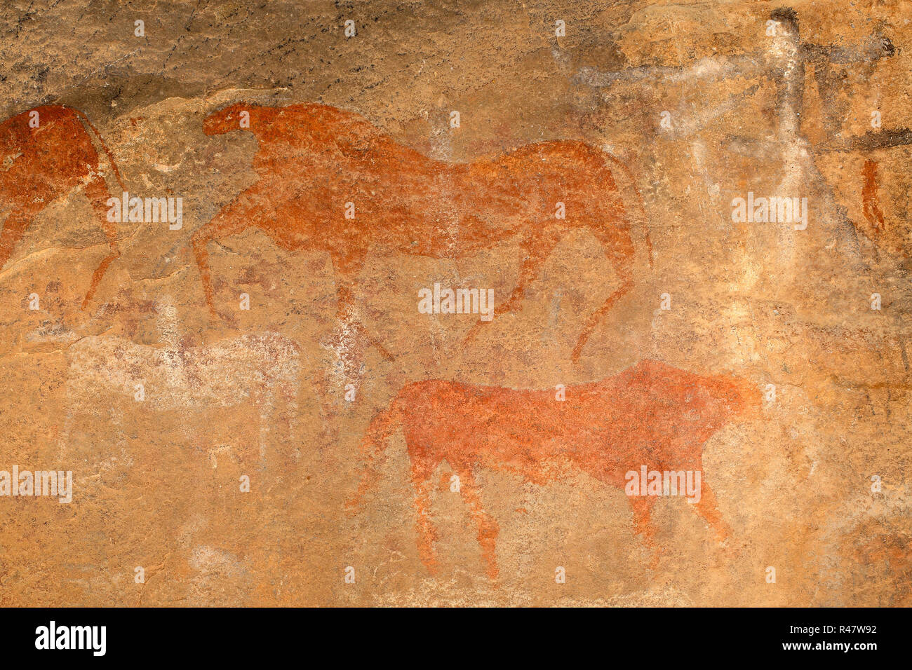Bushmen rock painting Stock Photo - Alamy