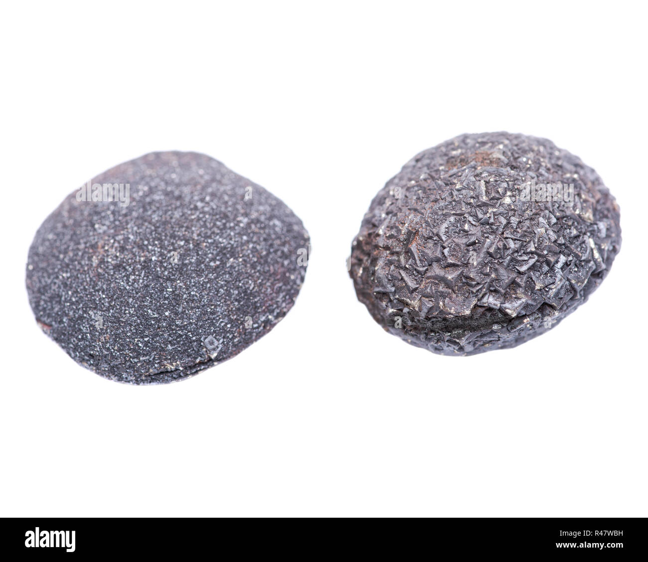 Set of concretion stones from southwest Kansas, USA. Kansas Pop Rocks ...