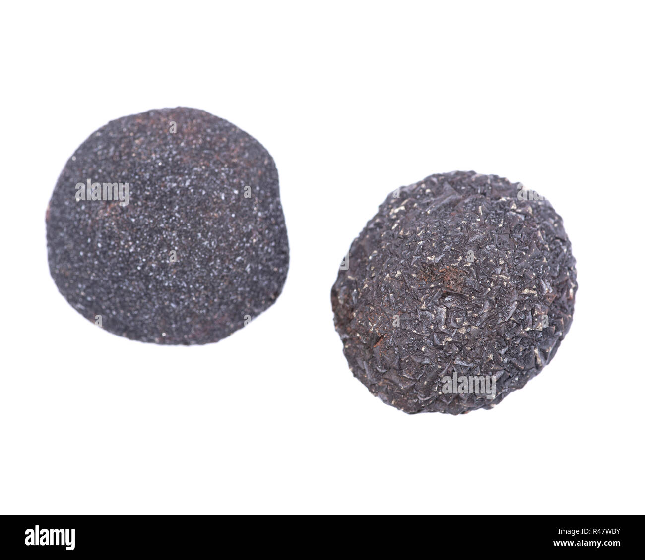 Set of concretion stones from southwest Kansas, USA. Kansas Pop Rocks ...