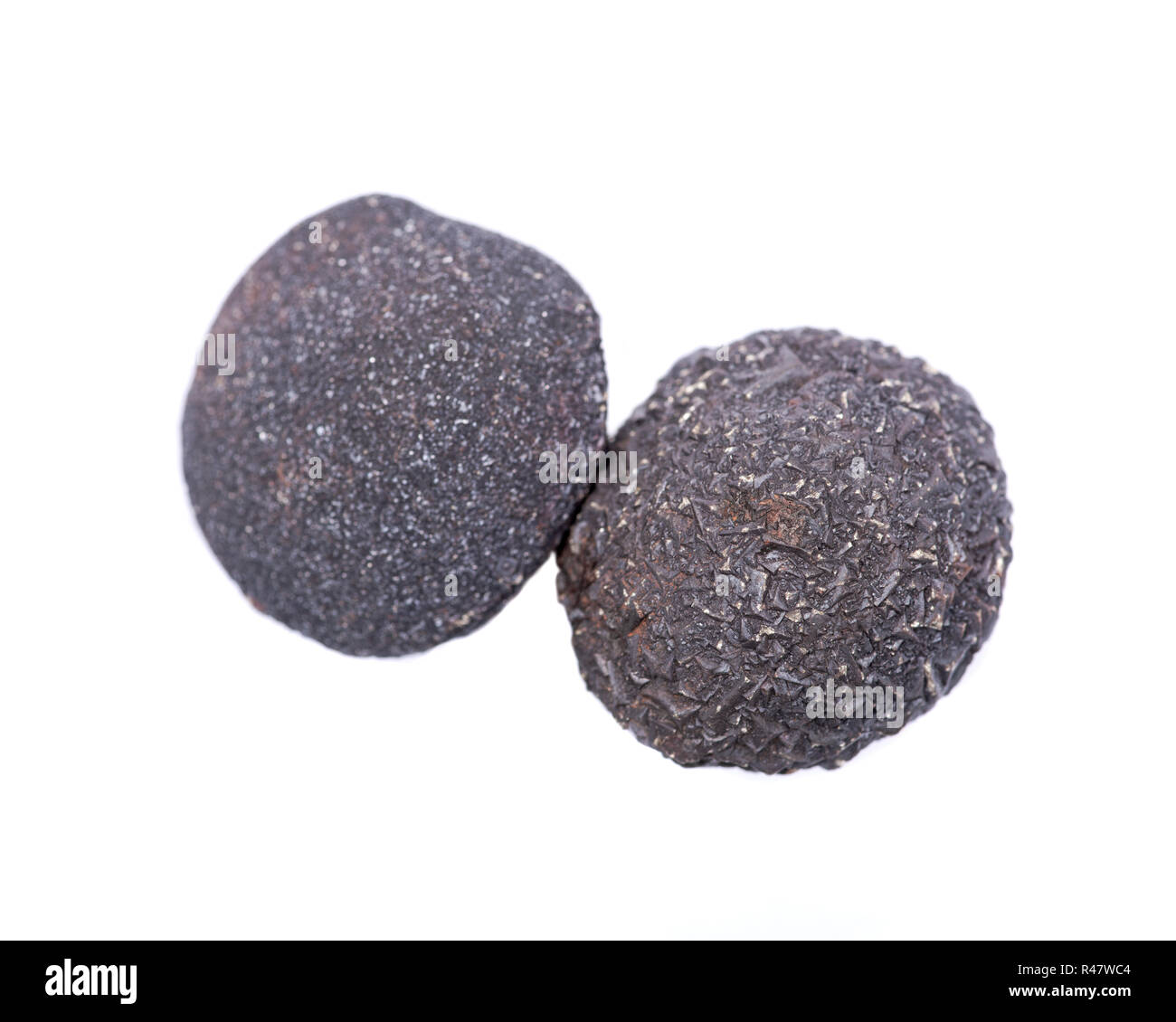 Set of concretion stones from southwest Kansas, USA. Kansas Pop Rocks ...