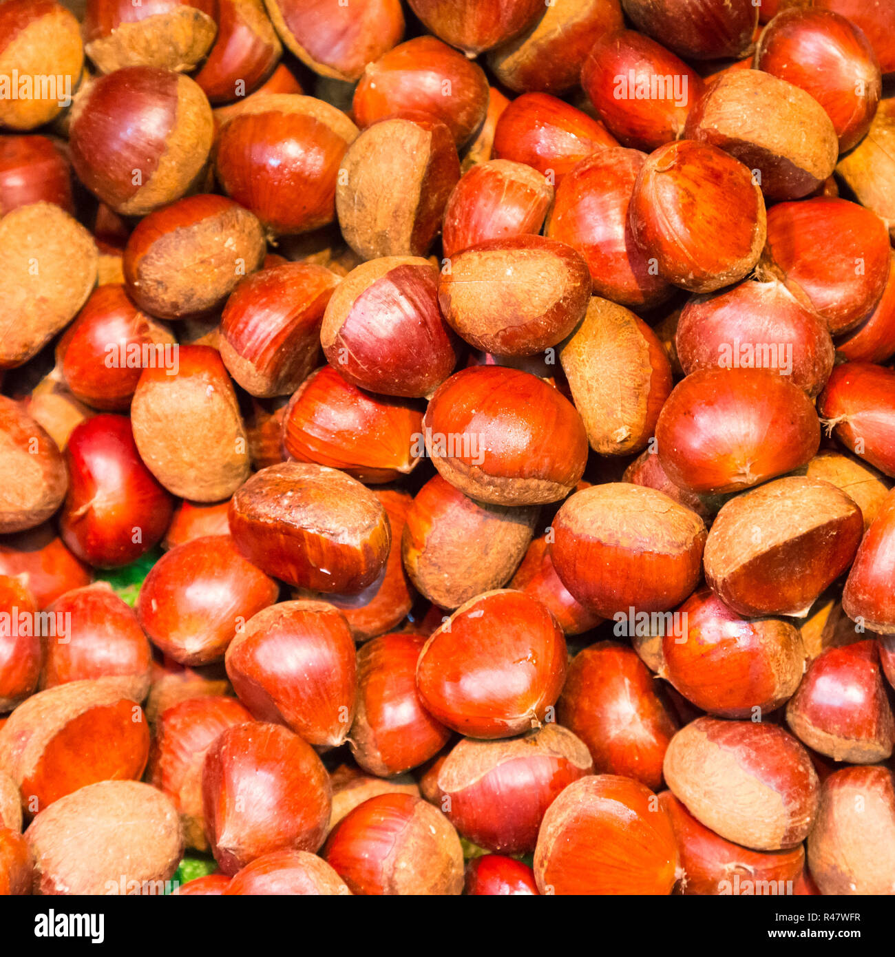Conker pile hi-res stock photography and images - Alamy