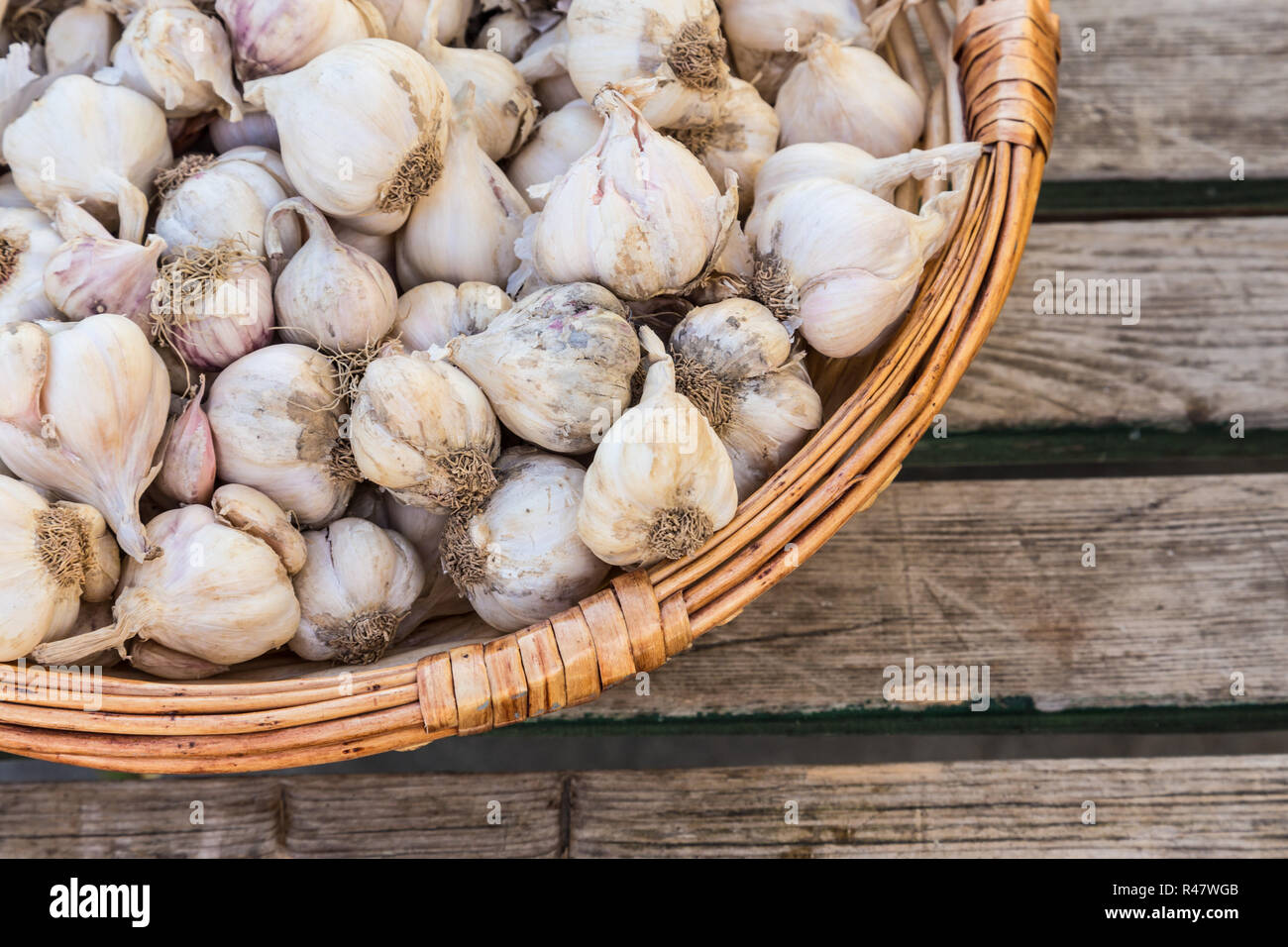 Garlic in rustic basket Stock Photo - Alamy