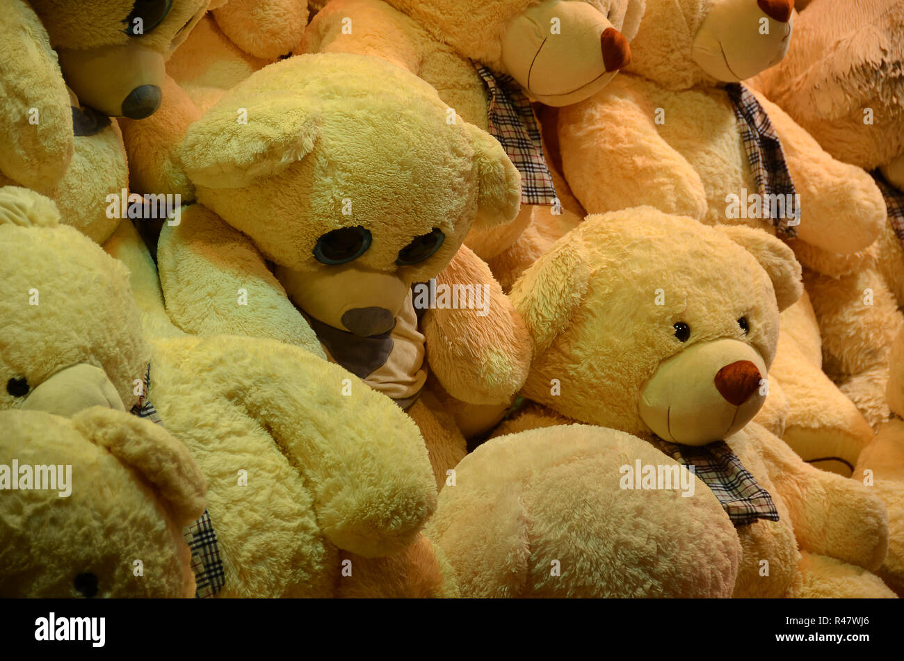Teddys hi-res stock photography and images - Alamy