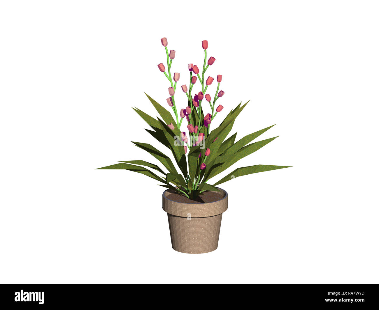 potted plant isolated Stock Photo - Alamy