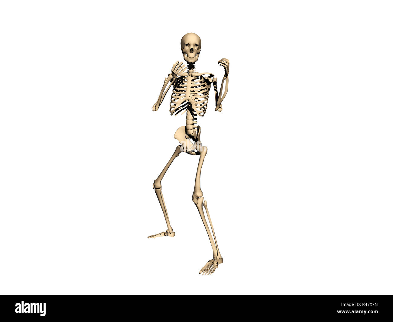 Skeleton boxing hi-res stock photography and images - Alamy